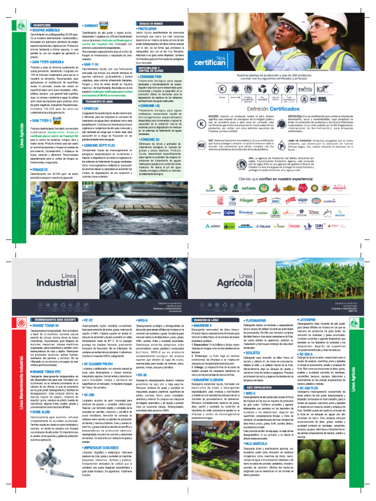 Arte Cuartilla 2 Curvas | PDF