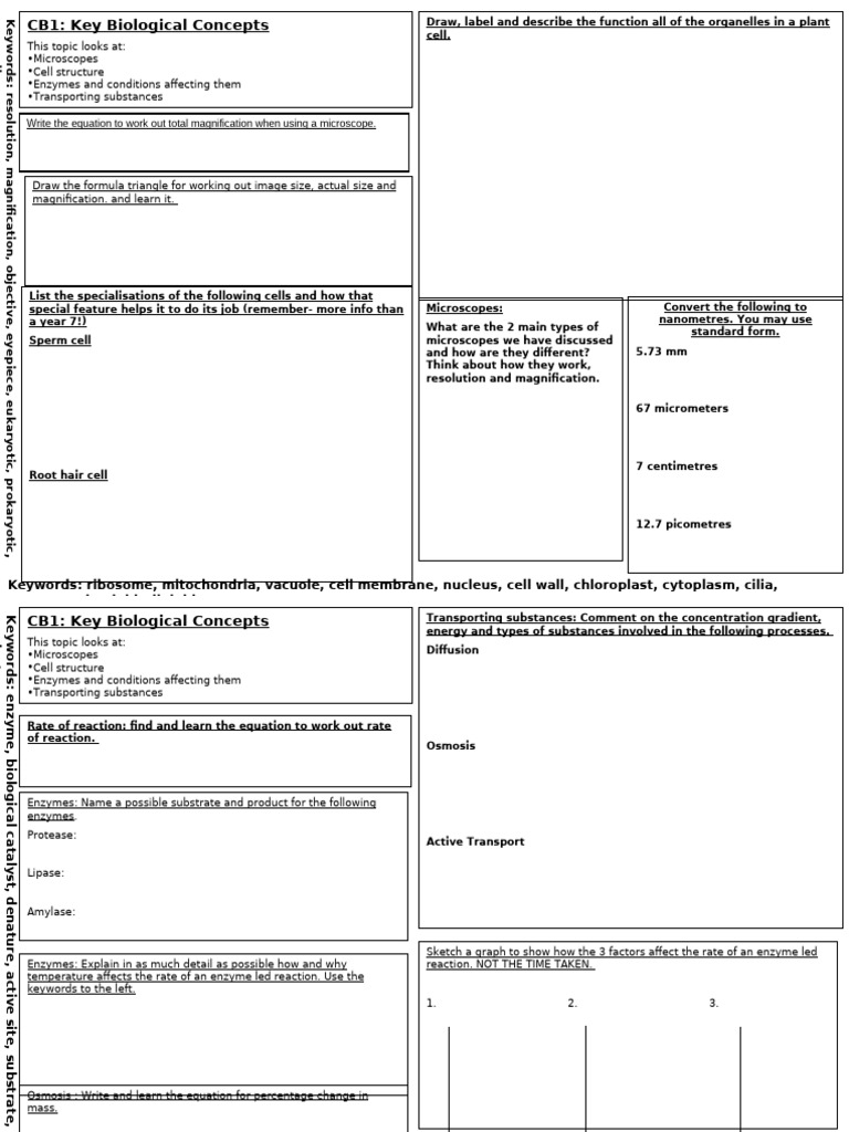 CB1 Revision Map | PDF | Cell (Biology) | Enzyme