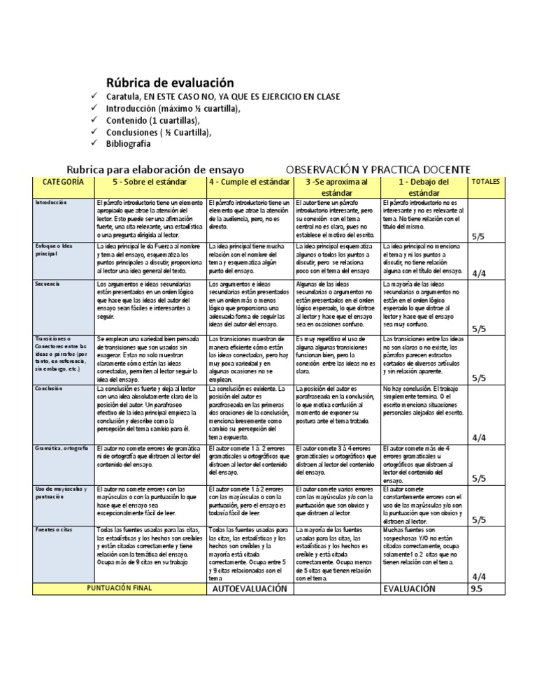 Rúbrica de evaluación ensayo OPD II | Ensayos | Lógica