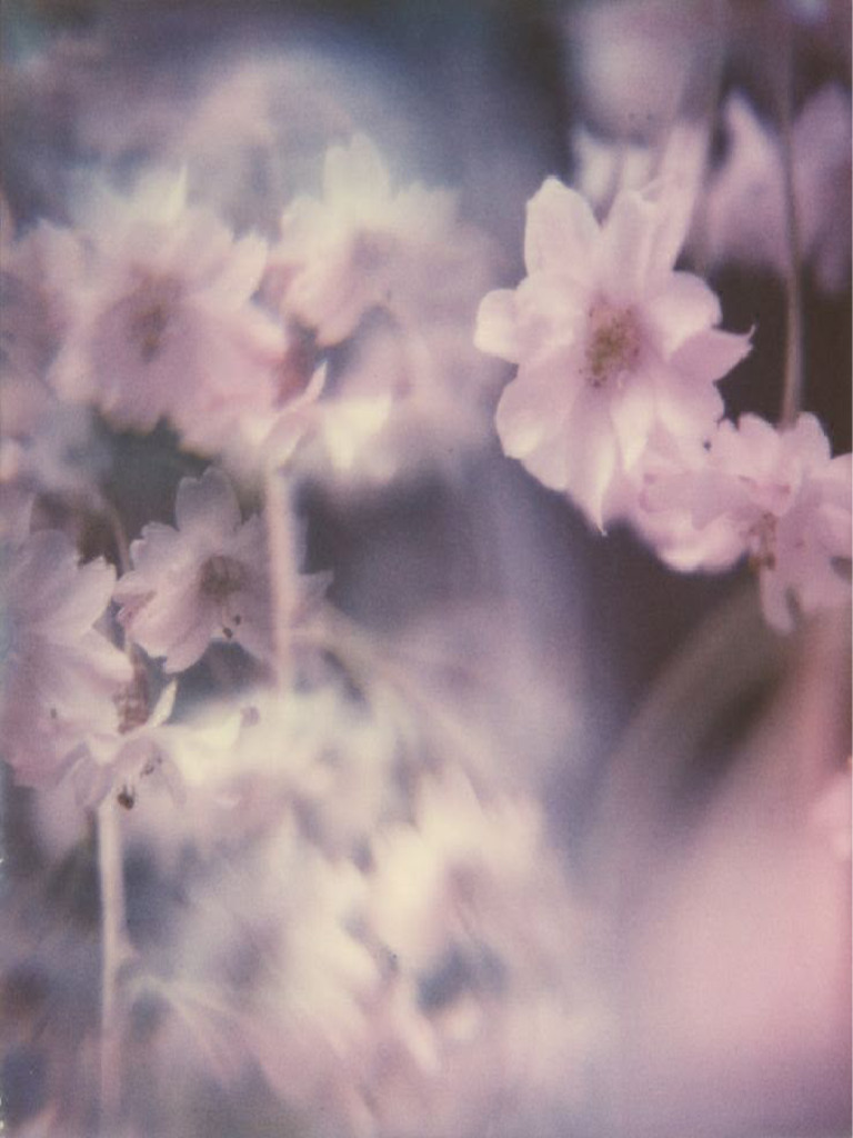 Flower | PDF