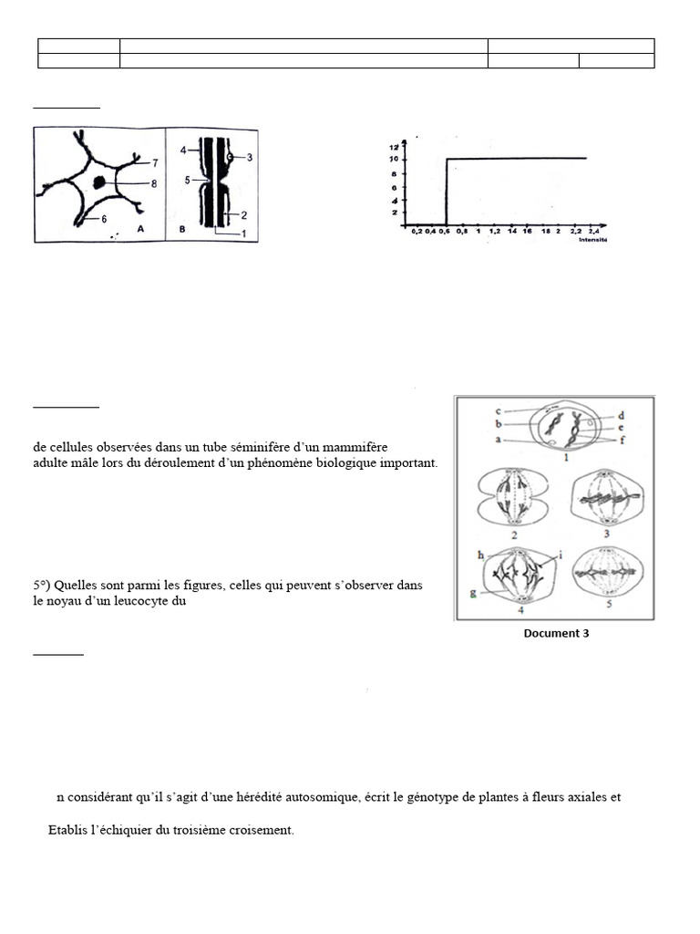 Analyse des structures cellulaires et croisements génétiques | PDF ...