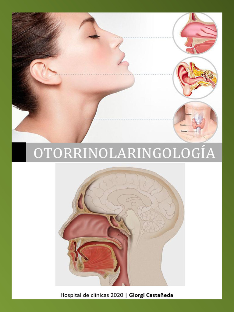 apunte ORL | PDF | Oído | Escuchando