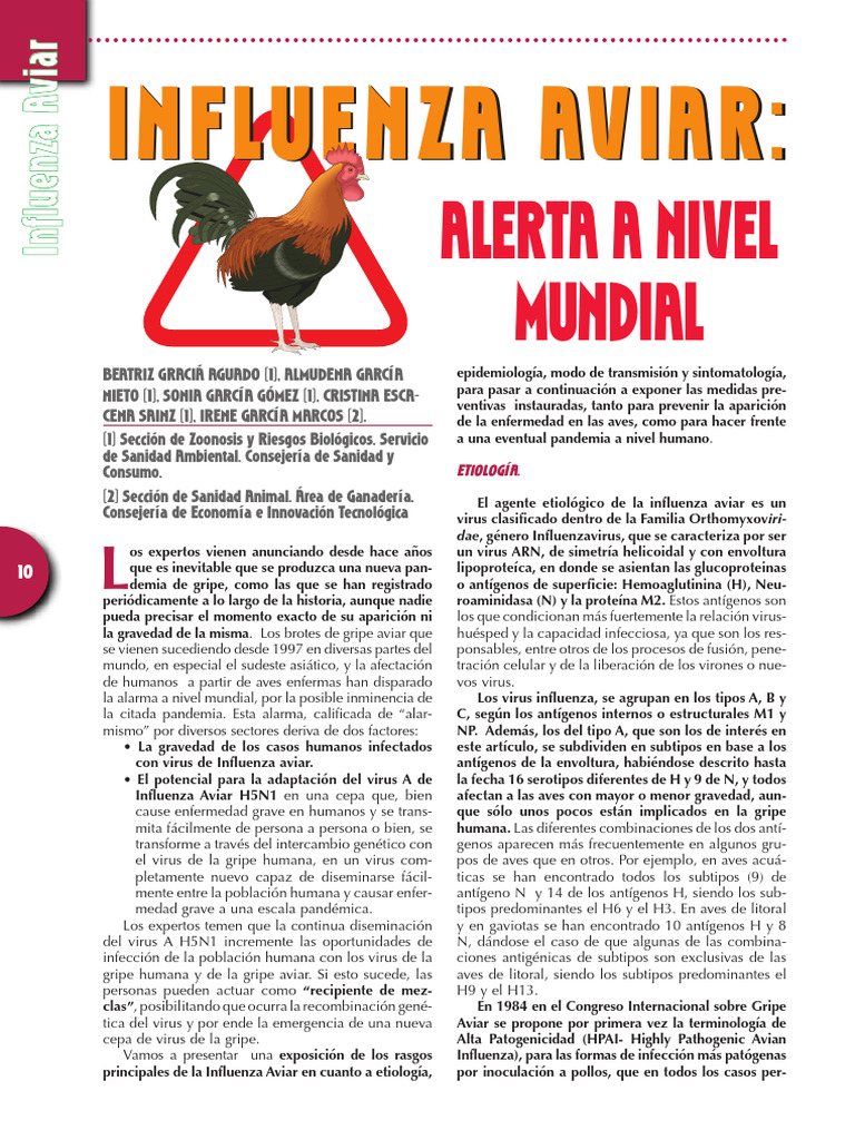Gripe Aviar | PDF | Influenza | Influenza aviar