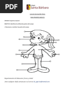 100 Fichas Esquema Corporal | PDF | Pierna humana | Cuerpo humano