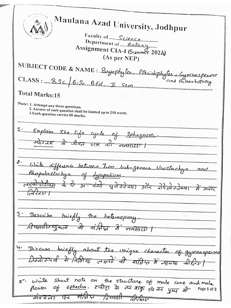 Assignment Botany | PDF