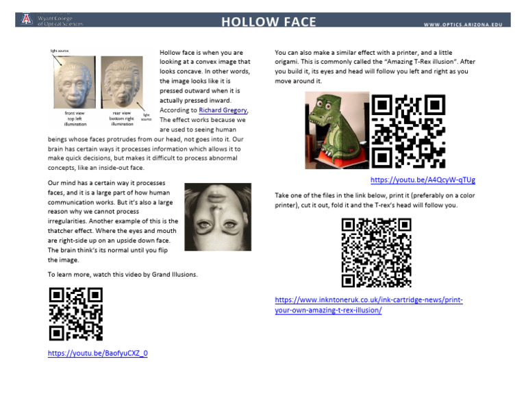 Hollow Face Pamphlet | PDF