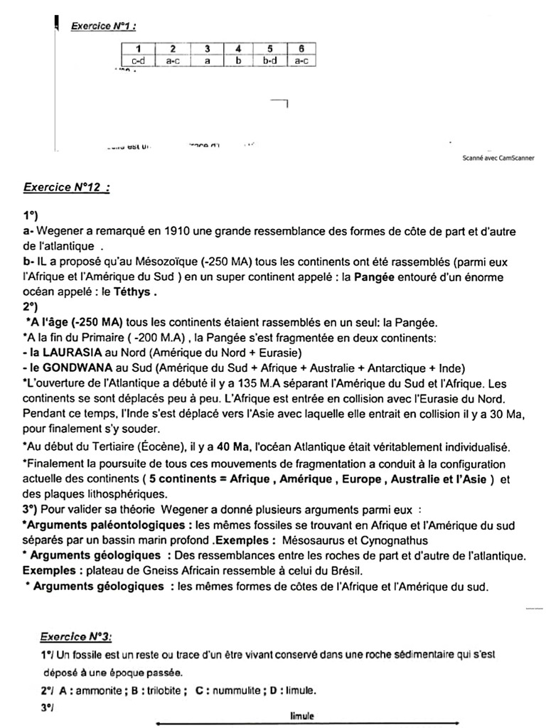 Compo SVT 1ered | PDF