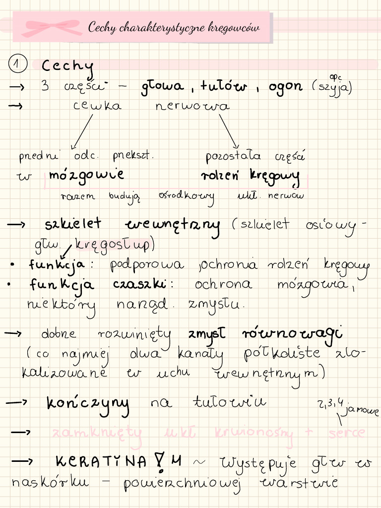 Cechy Charakterystyczne Strunowców | PDF