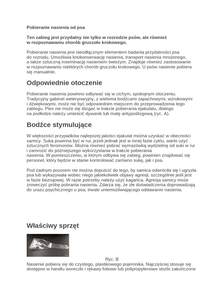 Pobieranie Nasienia Od Psa Artykuły | PDF