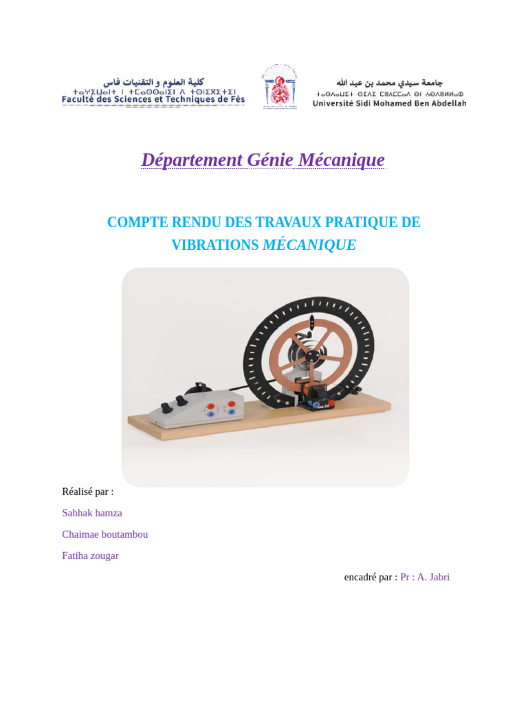 compte-rendu-vib | PDF | Pendule (physique) | Résonance