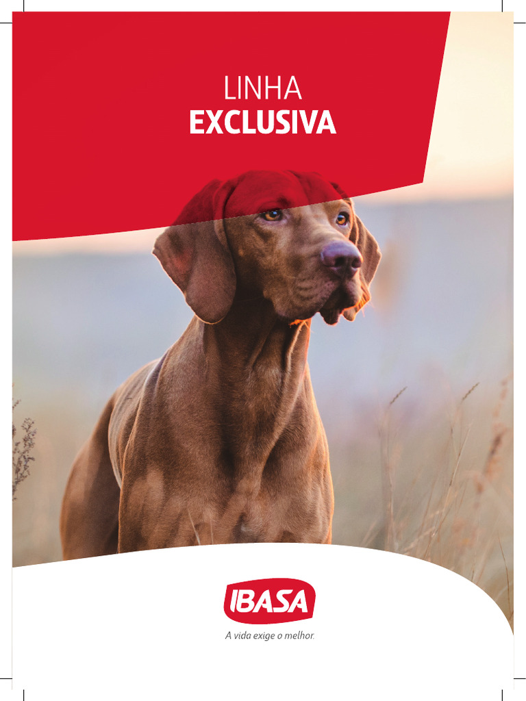 IBASA | PDF