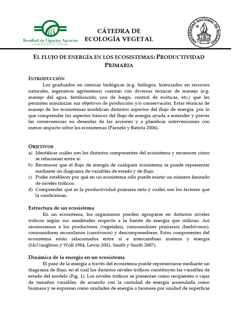 Flujo de Energía en Los Ecosistemas | PDF | Fotosíntesis | Ecosistema