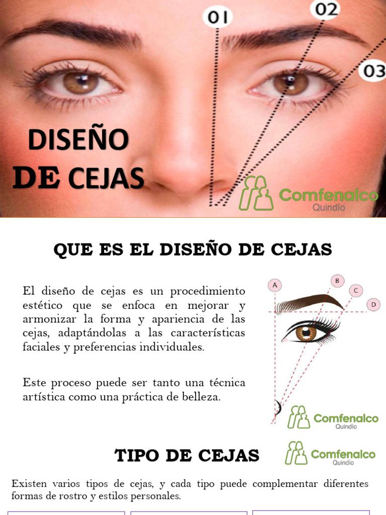 Diseño de Cejas | PDF | Ceja | Cara