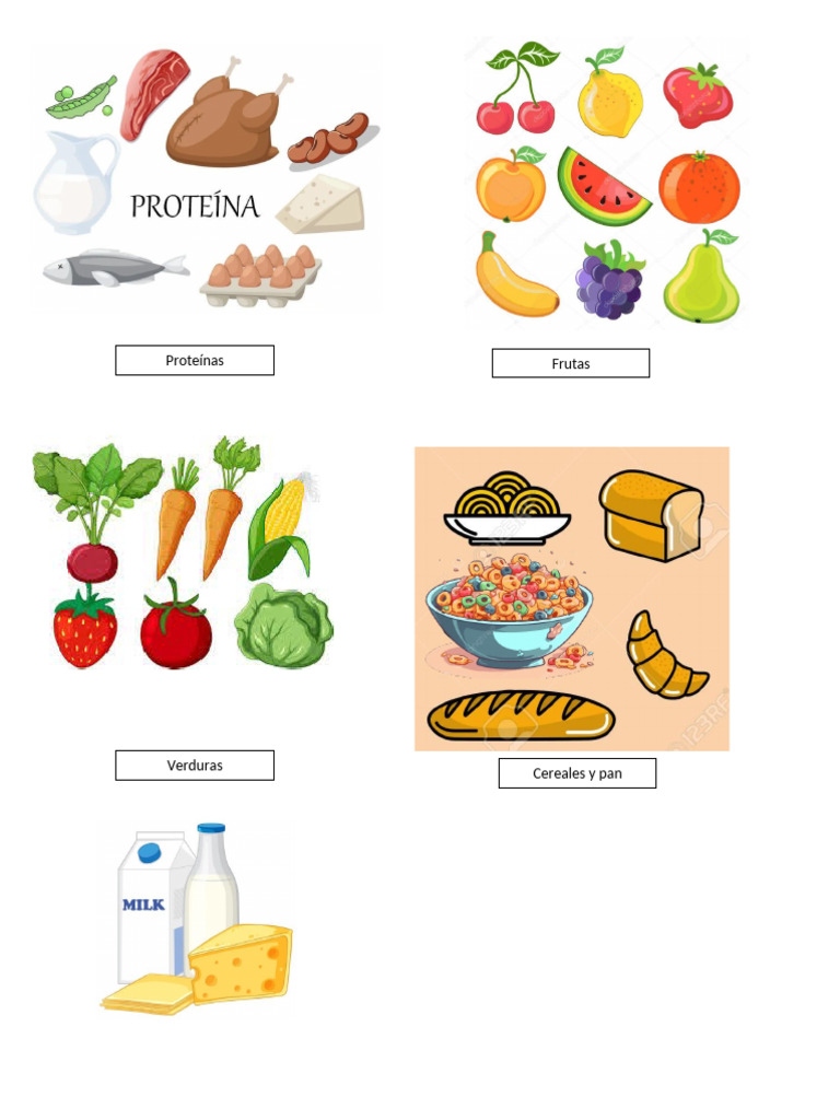 Las Proteinas Frutas Verduras, Pan y Cereal Lacteos | PDF