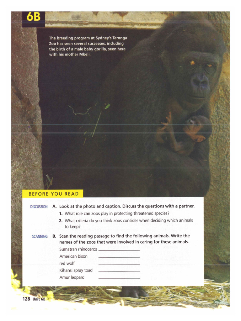 NG Explorer 6B - Reading | PDF