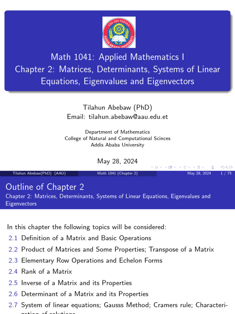 Math1041 Chap 02 Matrices Determinants May 2024 3 | PDF | Determinant | Matrix (Mathematics)