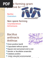 Encapsulated Vs Non Encapsulated Gram Positive Bacteria | PDF