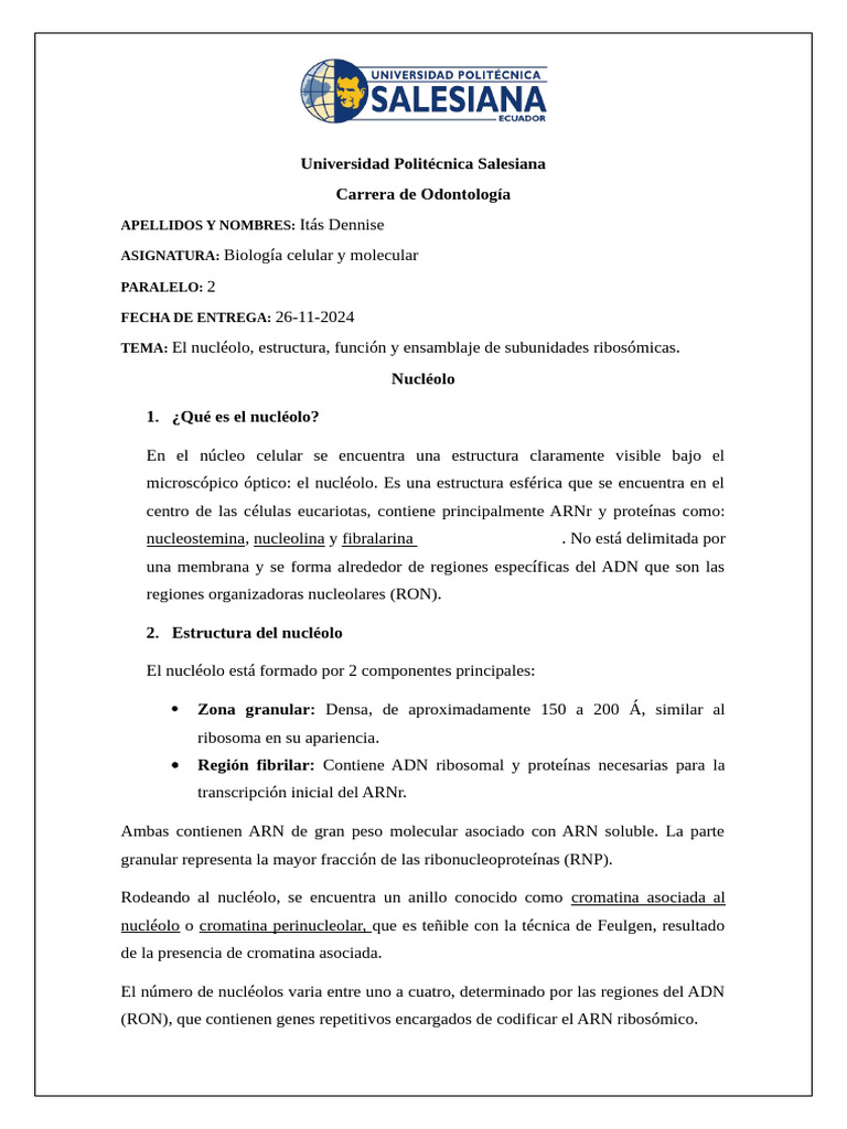 Nucleolo | PDF | Ribosoma | Rna