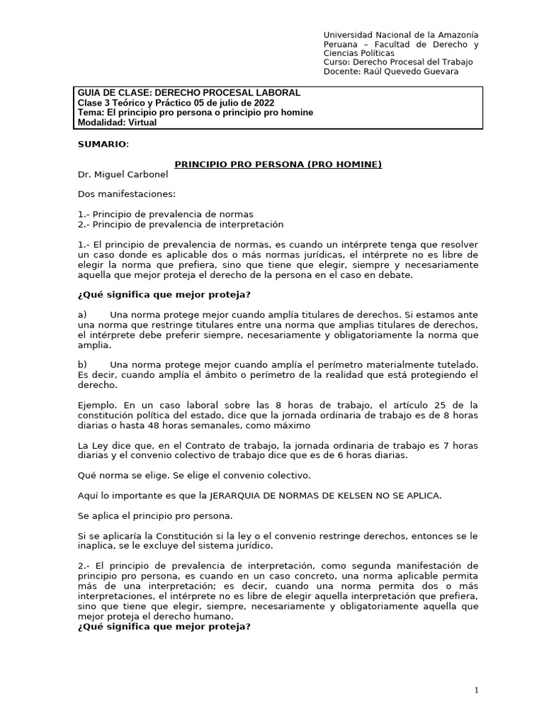 Principio Pro Persona en Derecho Laboral | PDF | Derecho laboral | Ley ...