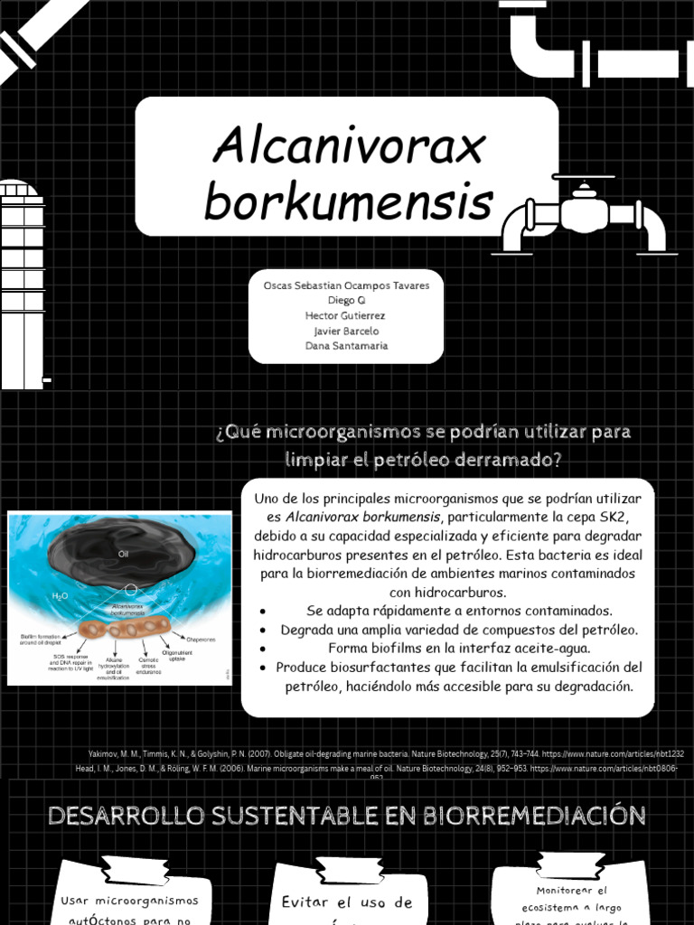 Alcanivorax borkumensis en biorremediación | PDF | Biotecnología | Petróleo