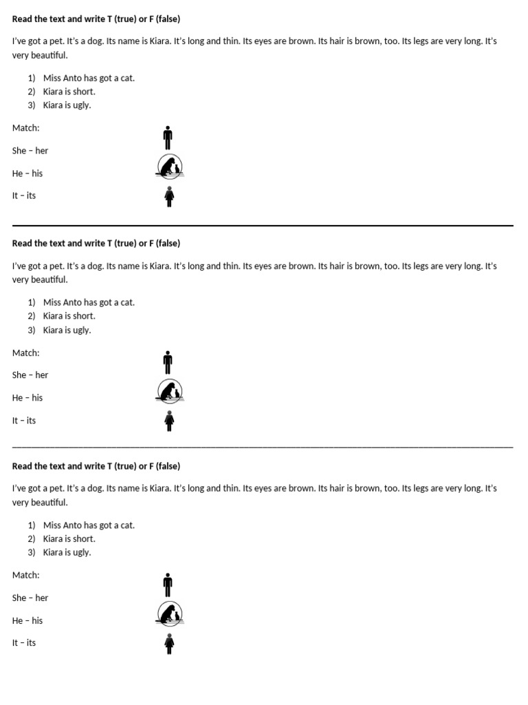 Pet Description True/False Quiz | PDF