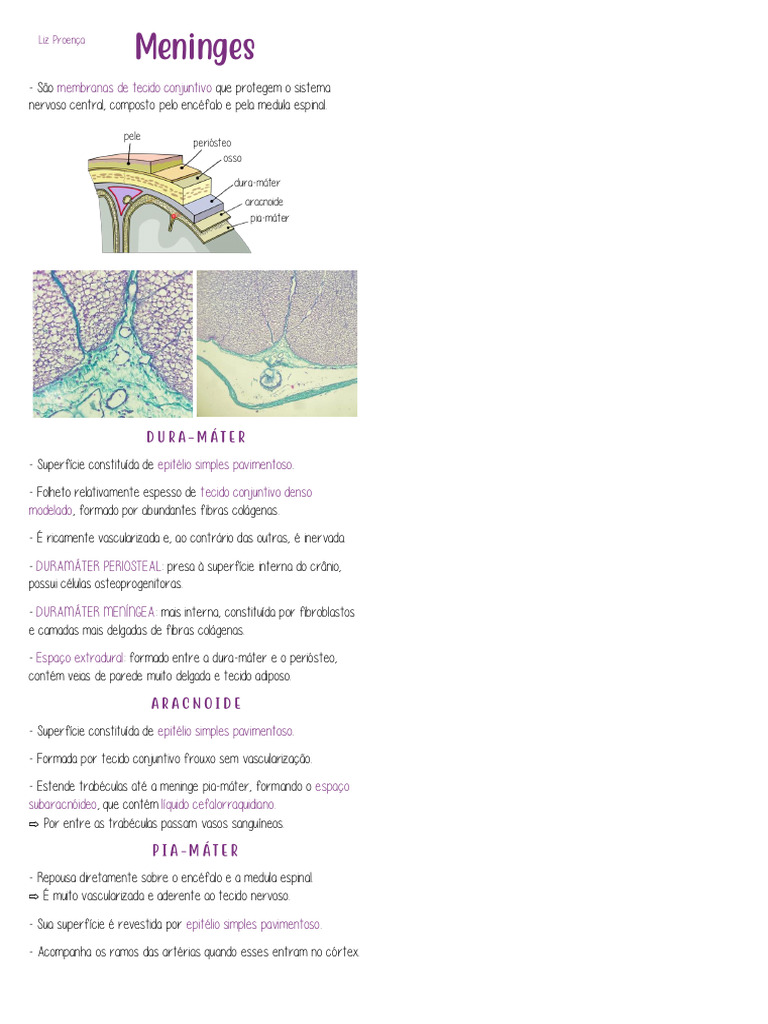 CASO 02 - Meninges | PDF