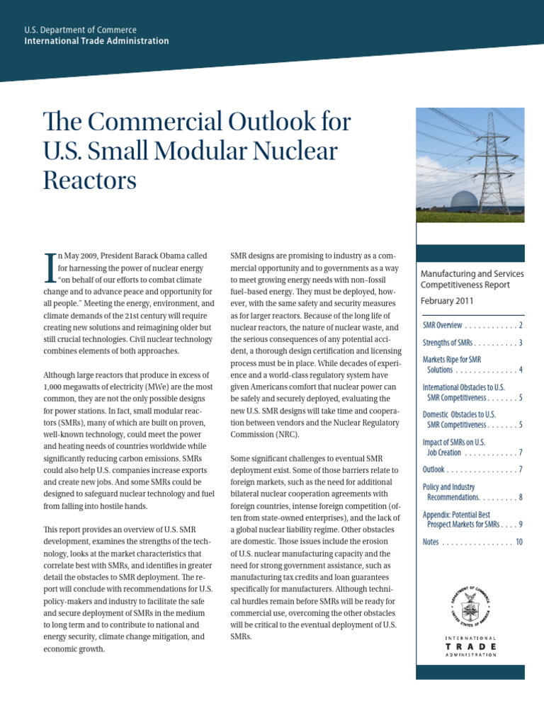 Commercial Outlook For US Small Modular Nukes | PDF | Pressurized Water ...