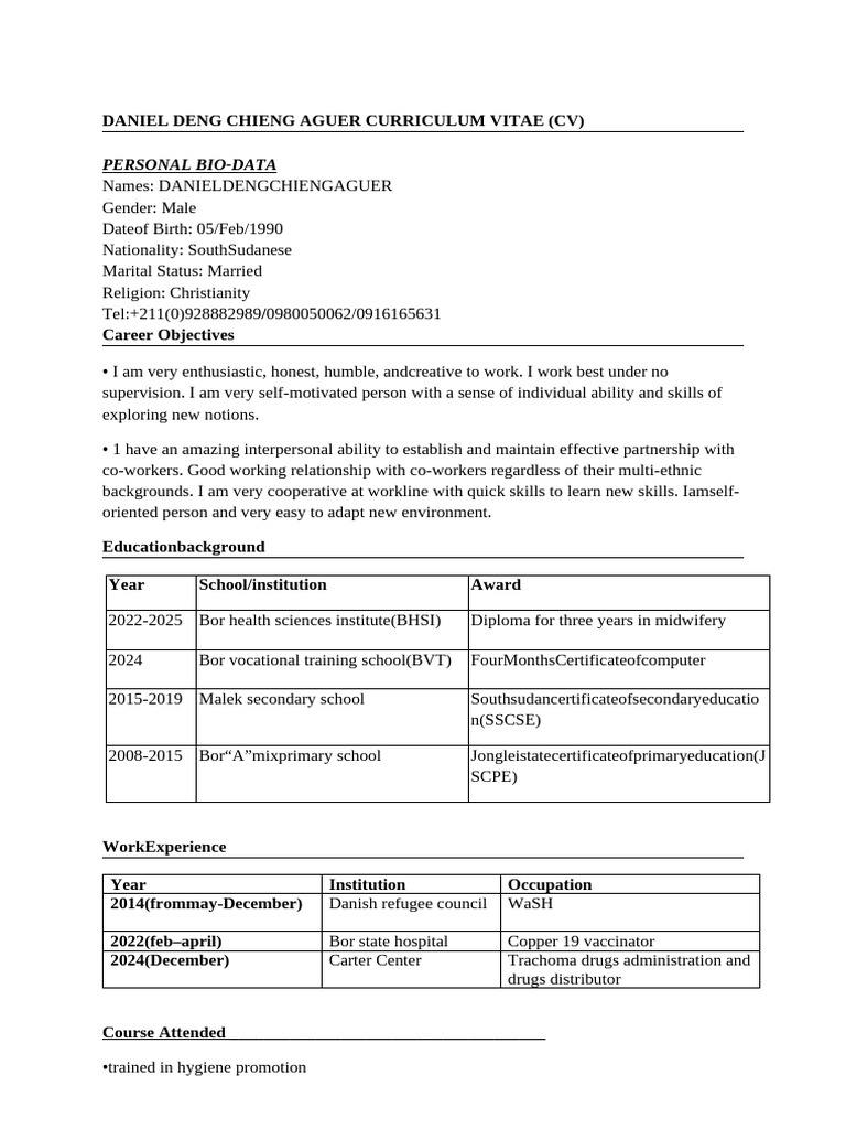 Daniel Deng Chieng Aguer CV | PDF