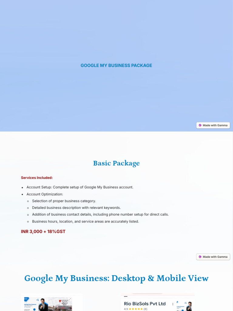 GOOGLE-MY-BUSINESS-PACKAGE-1 | PDF