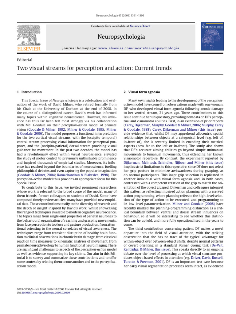 Impact of Milner's Perception-Action Model | PDF | Attention | Parietal ...