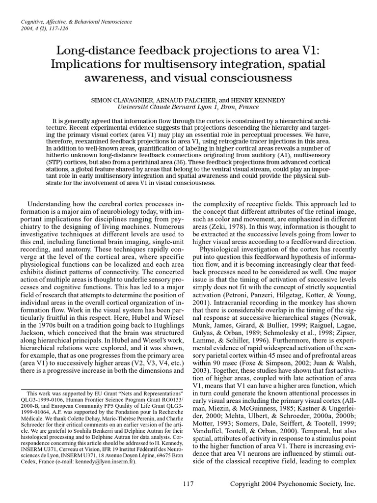Clavagnier2004 Article Long-distanceFeedbackProjectio | PDF | Visual Cortex | Cerebral Cortex