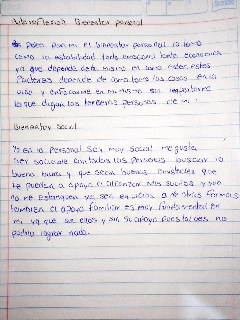 Auto Reflexión | PDF
