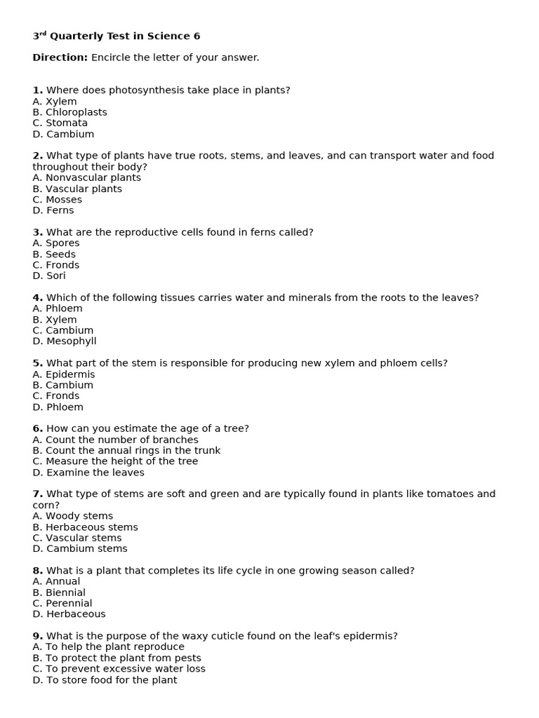 Science 6 Quarterly Test: Plant Biology | PDF | Plant Stem | Leaf