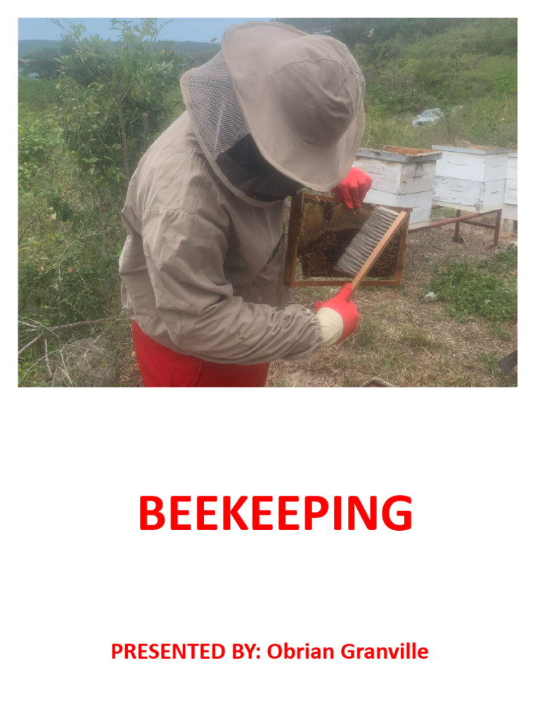 Honey Bee Anatomy and Colony Structure | PDF