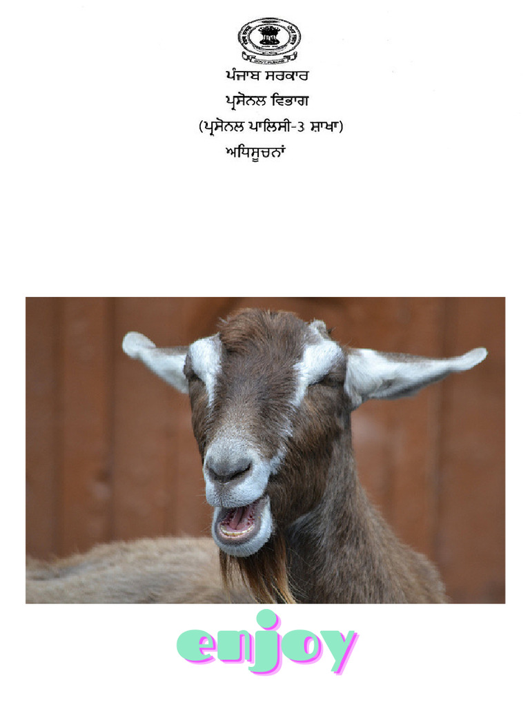 Holidays Till 14th January | PDF
