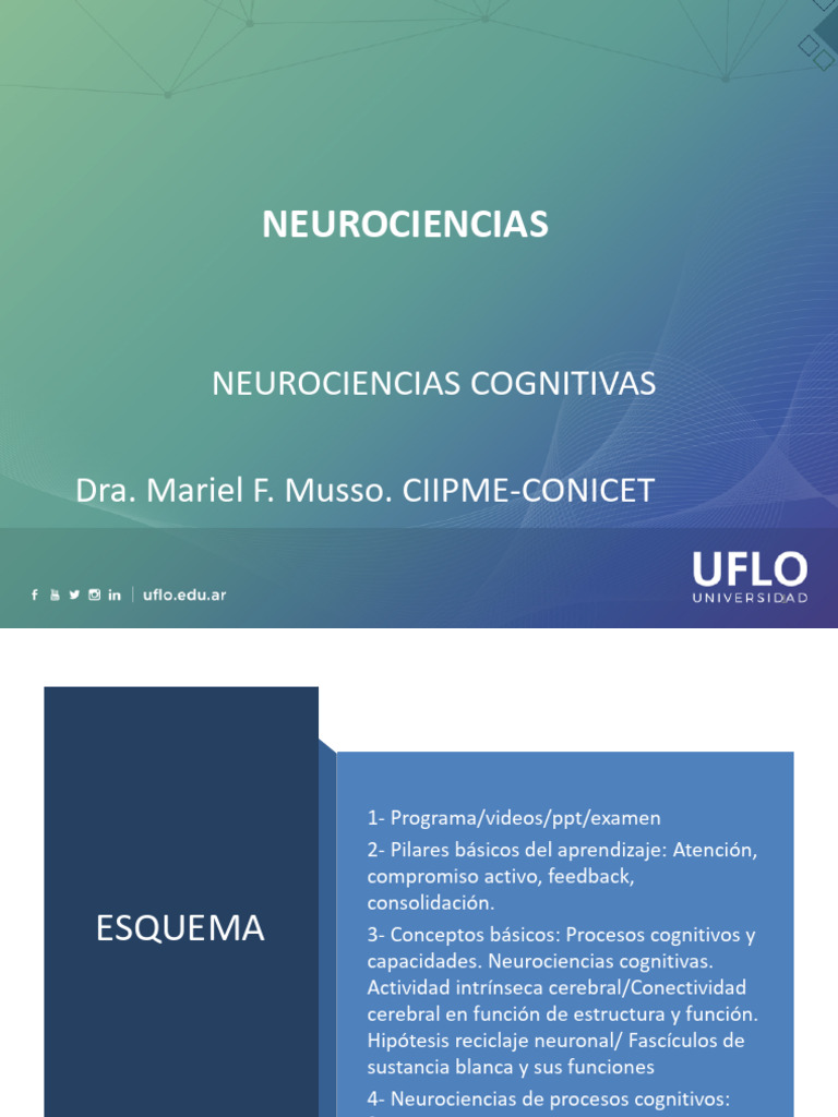 Neurociencias de Los Procesos Cognitivos - 1 | PDF | Neuroplasticidad ...