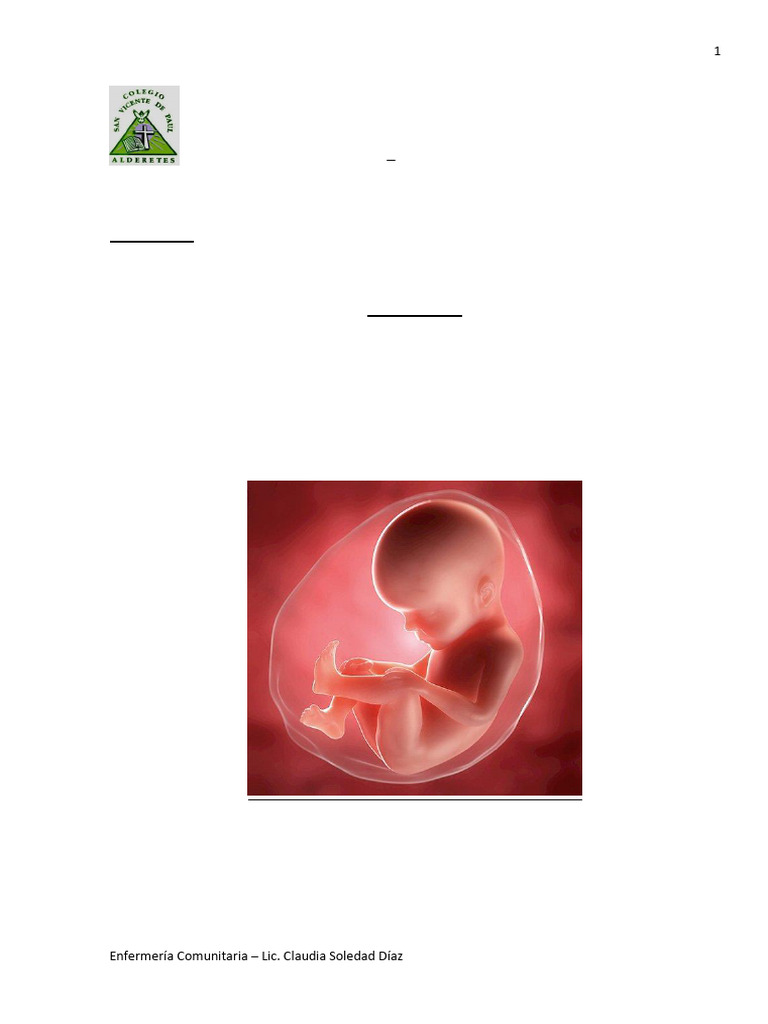 Tema 6 - EMBARAZO | PDF | El embarazo | Placenta