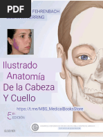 1 Region Superciliar | PDF | Cráneo | Anatomía humana