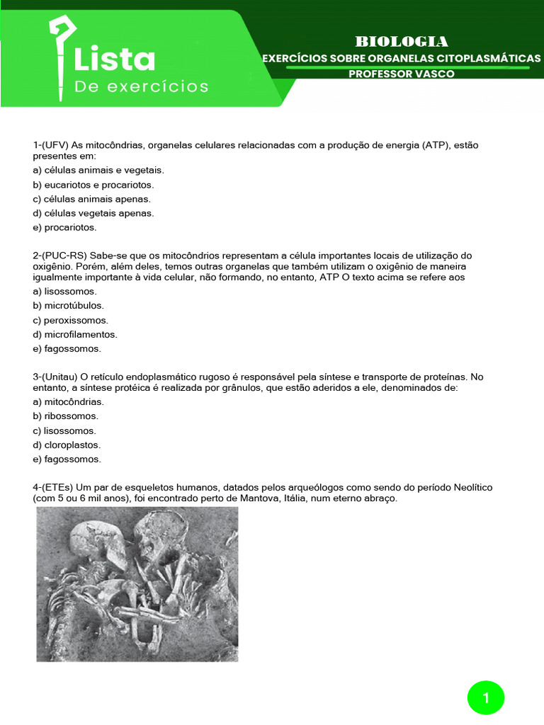 EXERCÍCIOS ORGANELAS CITOPLASMÁTICAS - MAGO | PDF | Mitocôndria ...
