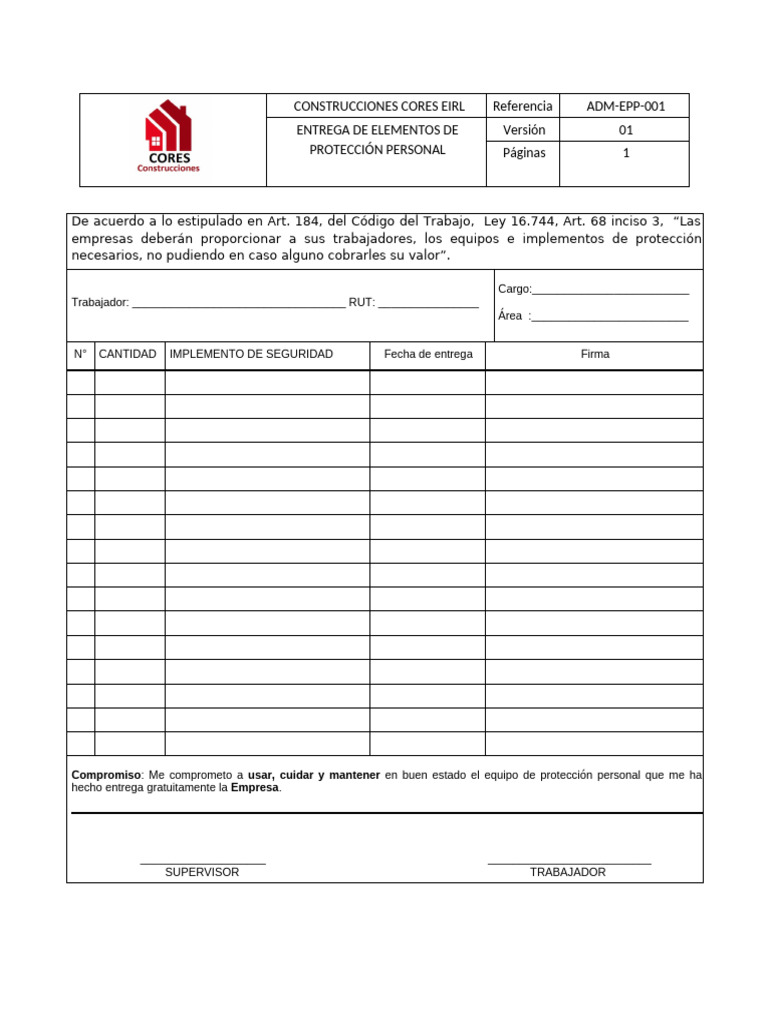 Formulario Entrega de Epp Cores 2025 | PDF