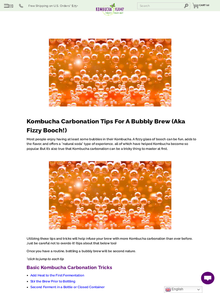 Kombucha Carbonation Tips & Tricks For More Bubbles & Fizz in Your Brew | PDF | Soft Drink ...