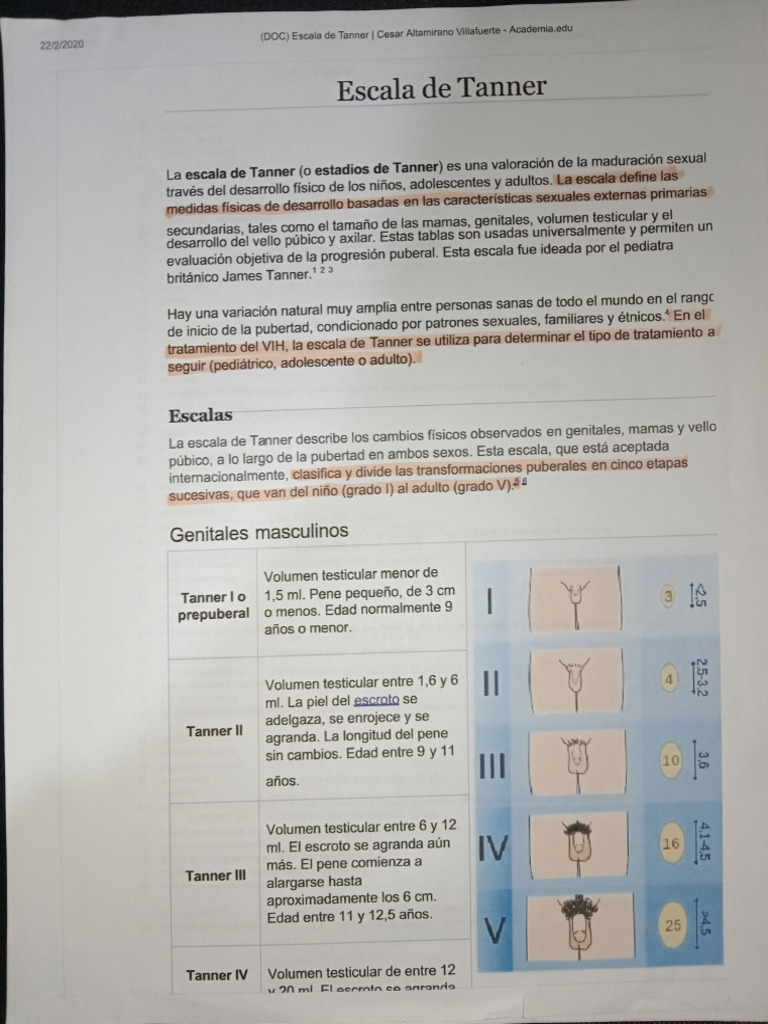 Tanner | PDF