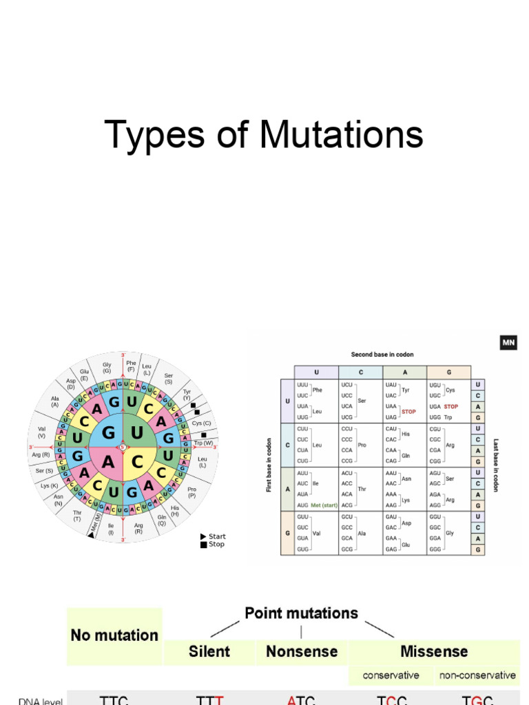 Types of Mutations | PDF