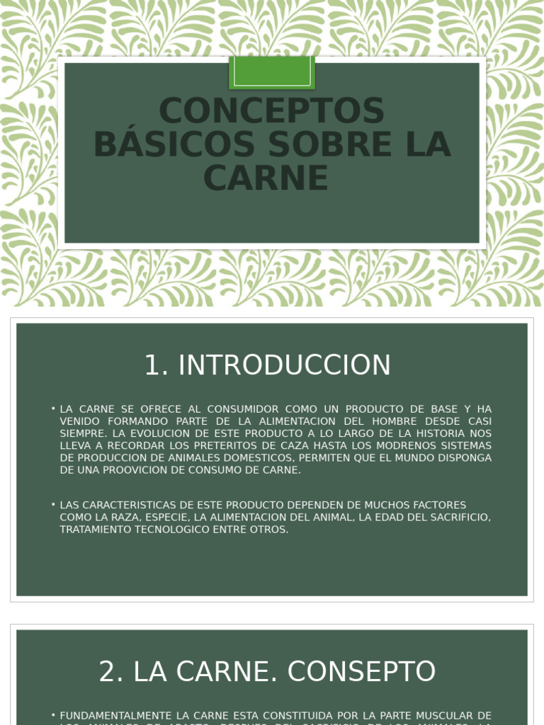 Conceptos Básicos Sobre La Carne | PDF | Carne | Alimentos