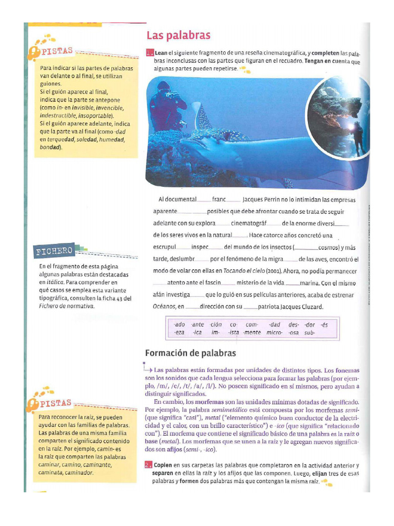 Formaci-n y clasificaci-n de palabras. Sustantivos. (1) | PDF