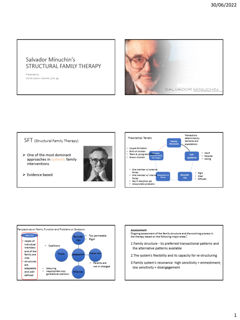 Minuchin's Structural Family Therapy Overview | PDF | Living ...