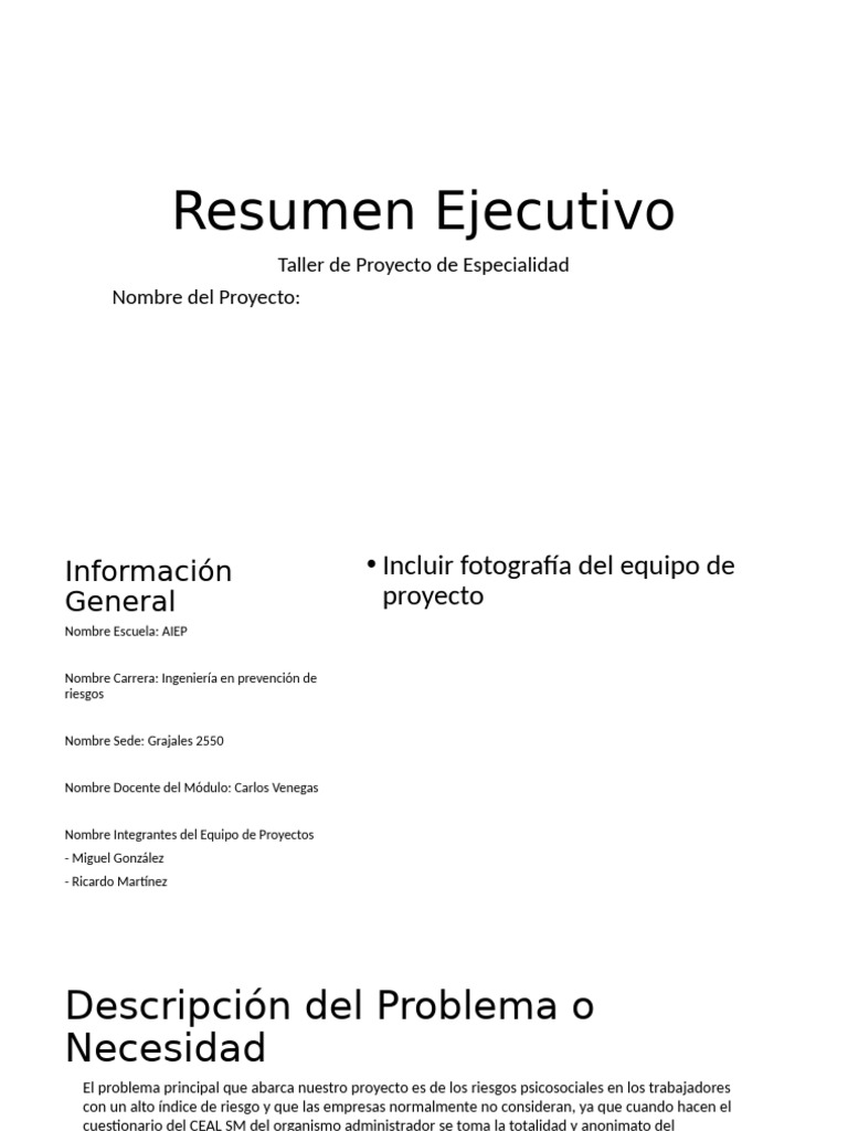 Formato Resumen Ejecutivo | PDF