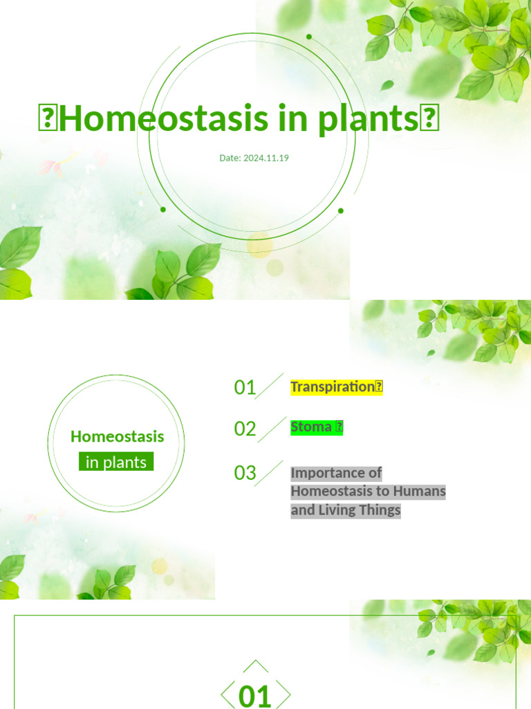 Homeostasis Mechanisms in Plants | PDF