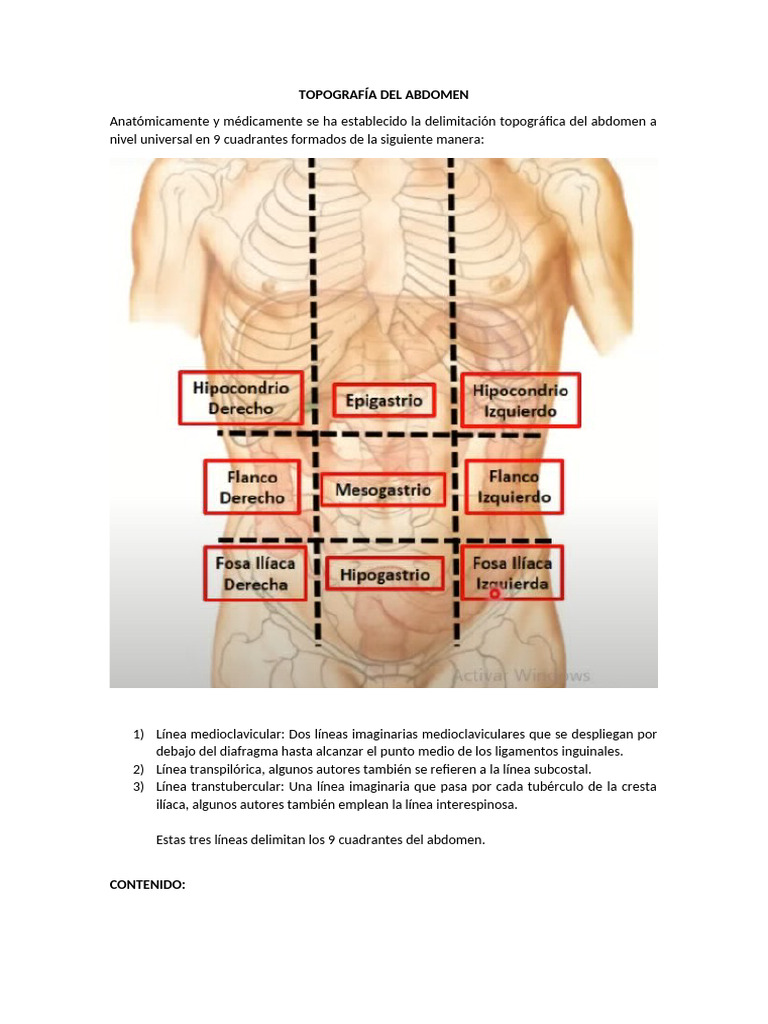 Topografía Abdominal en 9 Cuadrantes | PDF | Abdomen | Peritoneo