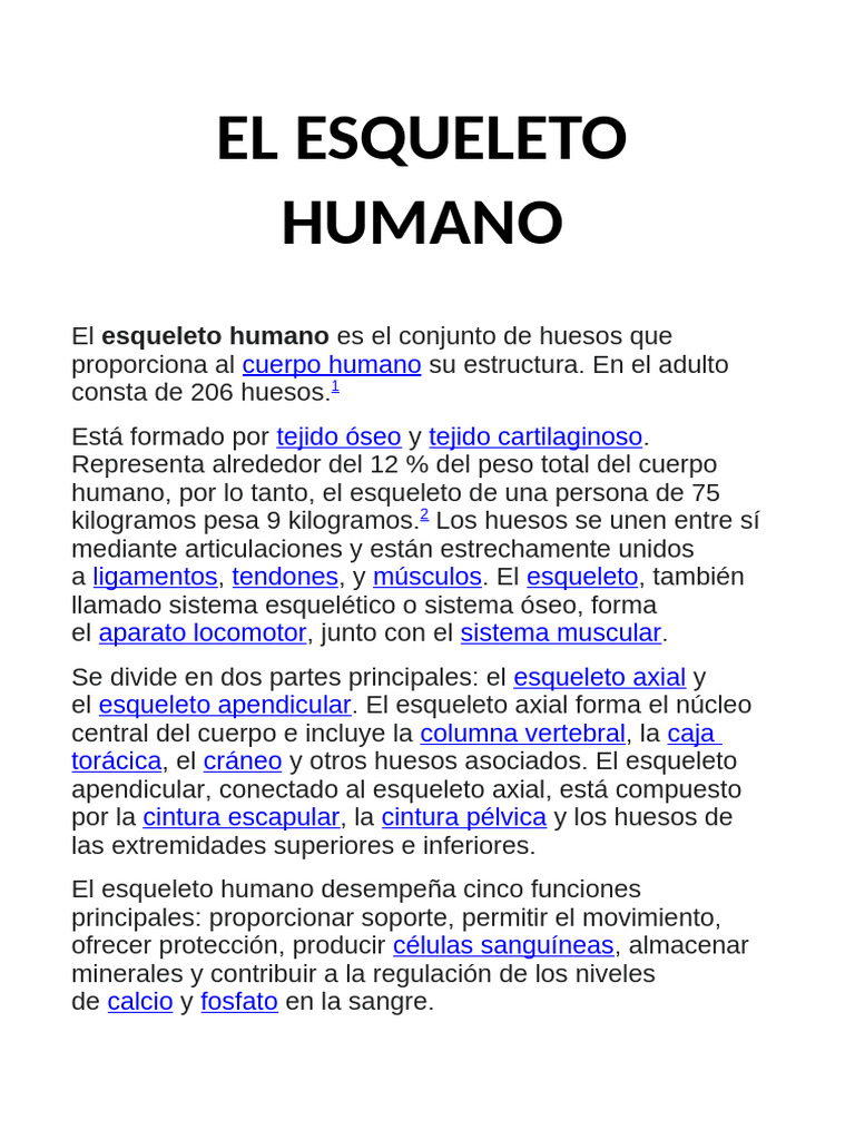 EL ESQUELETO HUMANO | PDF